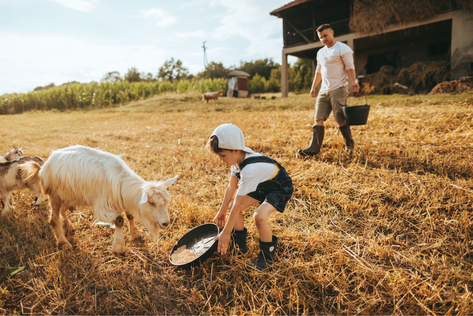 Multigenerational Farming: Why It Works - AgriLegacy